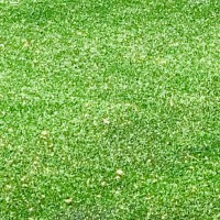 Contact – Dan Chilom Academy